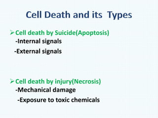APOPTOSIS : The programmed cell death | PPTX
