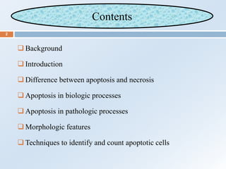 Apoptosis | PPTX