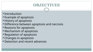 apoptosis for medical student genetics.pptx