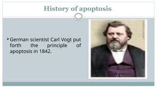apoptosis for medical student genetics.pptx