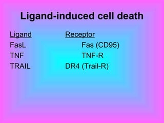 General Description of Apoptosis and other types of Irreversible cell ...