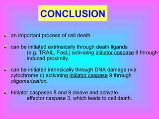 General Description of Apoptosis and other types of Irreversible cell ...