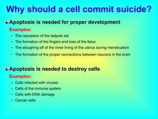 General Description of Apoptosis and other types of Irreversible cell ...