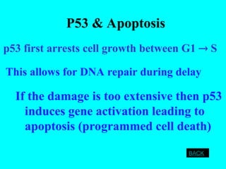 APOPTOSIS AND NECROSIS ABOUT DEATH.ppt