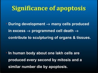 apoptosisII.pdf