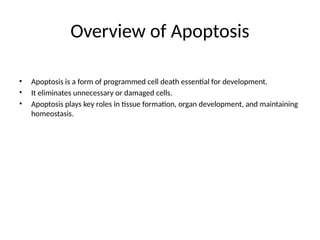 Apoptosis_in_DevelopmeEDNFIKEntal_Biology.pptx