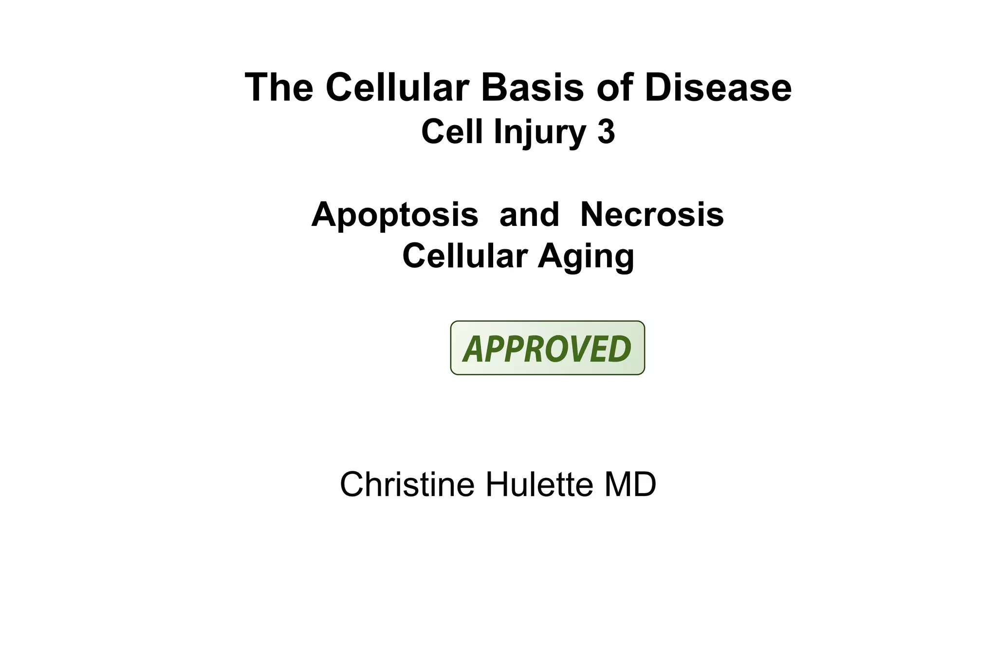apoptosis lecture-powerpoint slides (1) (1).pdf | Biological Sciences ...