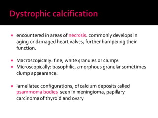Apoptosis made easy | PPT
