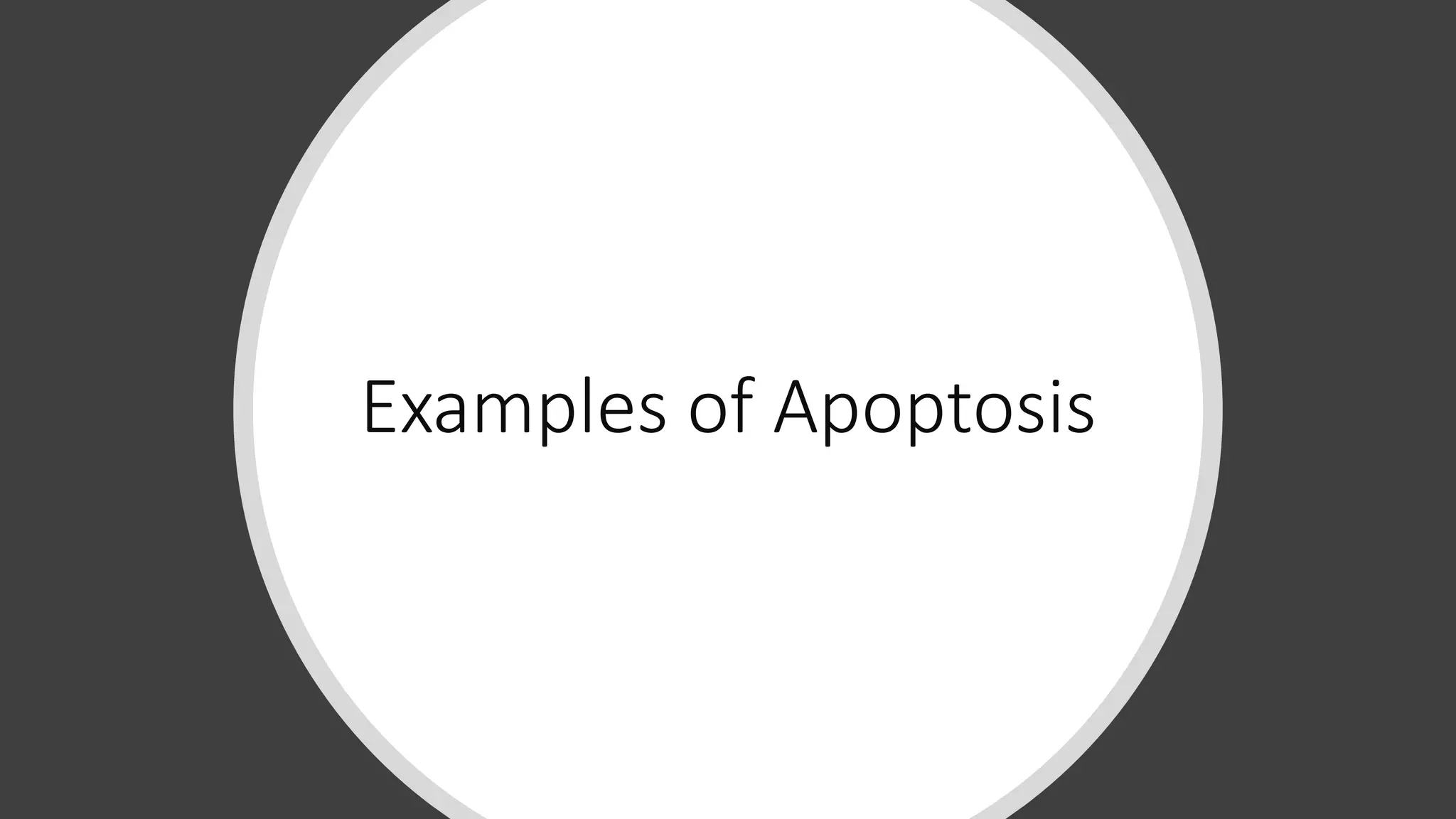 Apoptosis my ppt | PPTX