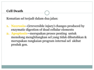 Apoptosis & nekrosis | PPTX