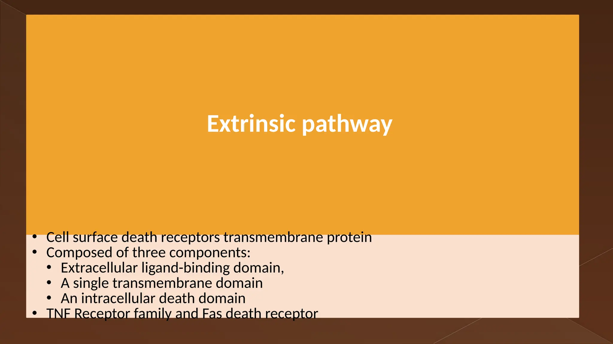 apoptosis new 1 [Autosaved] cell biology.pptx