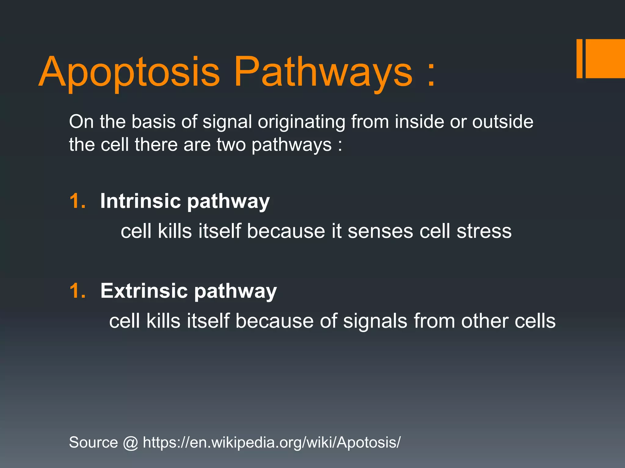 Apoptosis ppt | PPTX