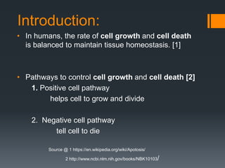 Apoptosis ppt | PPTX