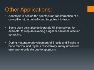 Apoptosis ppt | PPTX