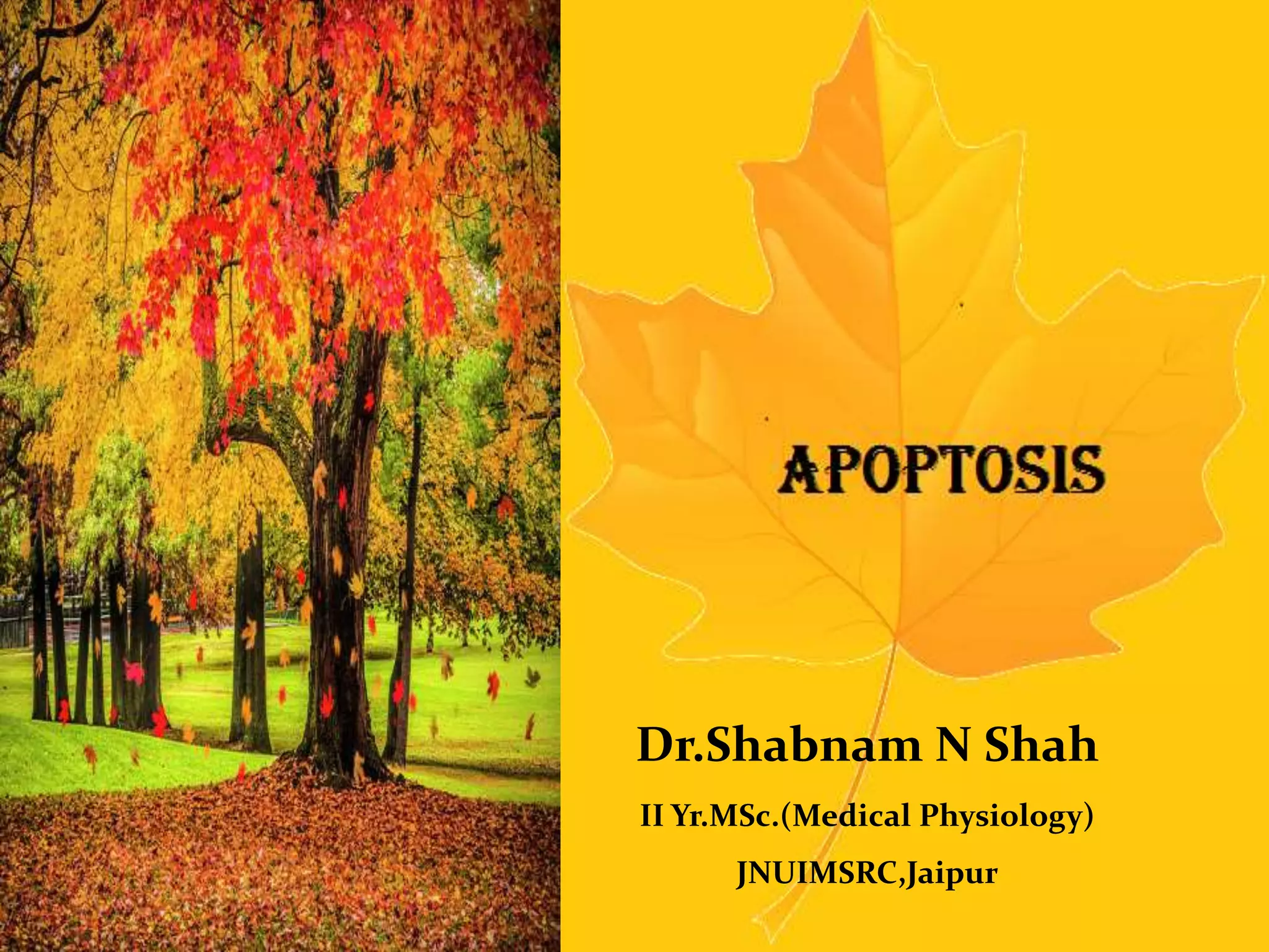 Apoptosis ppt. | PPTX