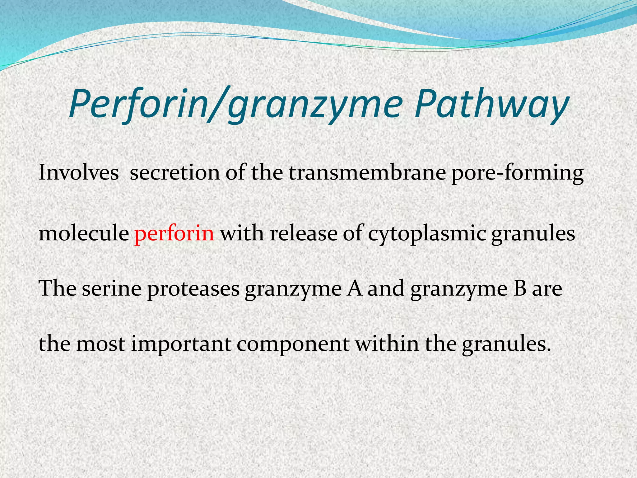 Apoptosis ppt. | PPT