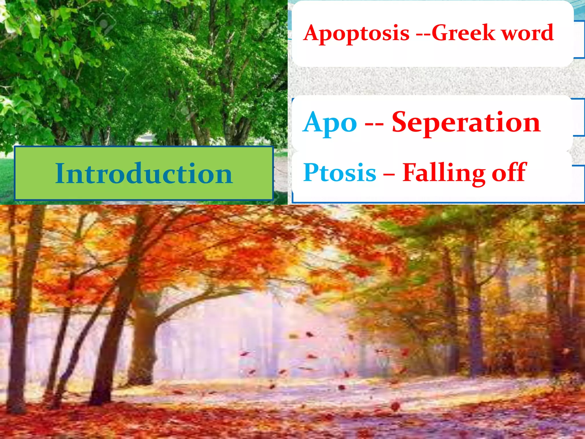 Apoptosis ppt. | PPTX