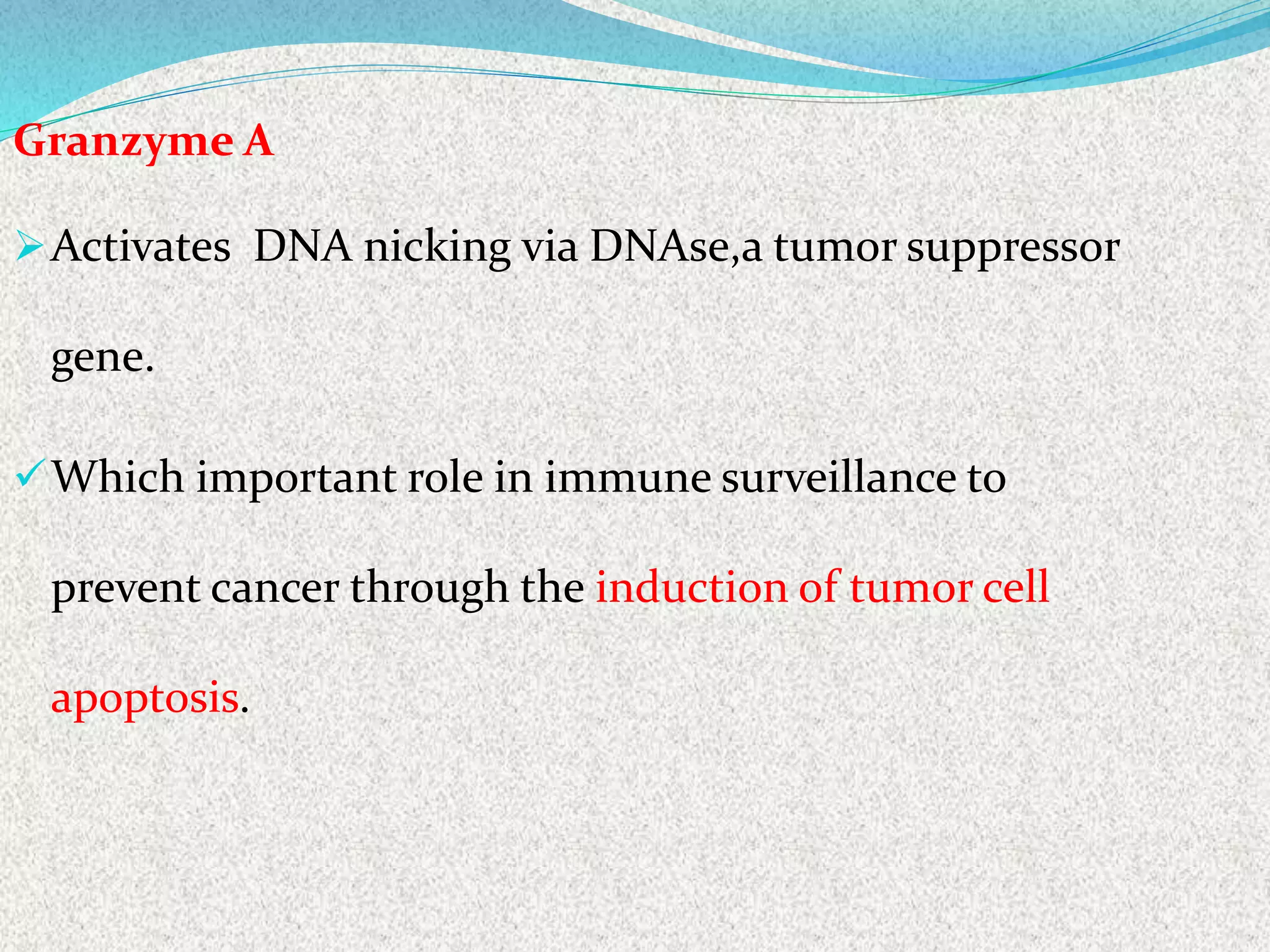 Apoptosis ppt. | PPT