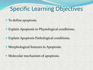 Apoptosis ppt. | PPTX