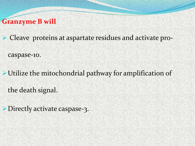 Apoptosis ppt. | PPT