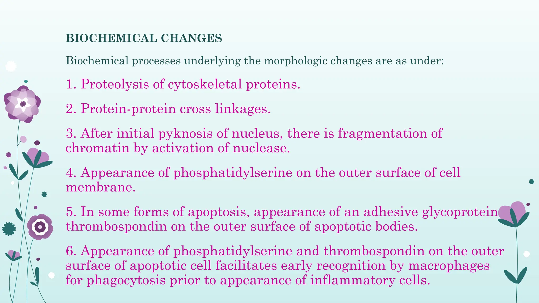 Pathology - Apoptosis and cell death.pptx