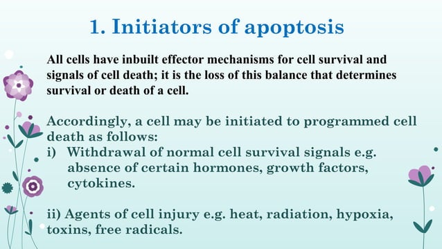 Pathology - Apoptosis and cell death.pptx