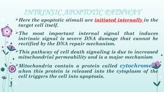 Pathology - Apoptosis and cell death.pptx