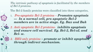 Pathology - Apoptosis and cell death.pptx