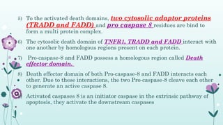 Pathology - Apoptosis and cell death.pptx