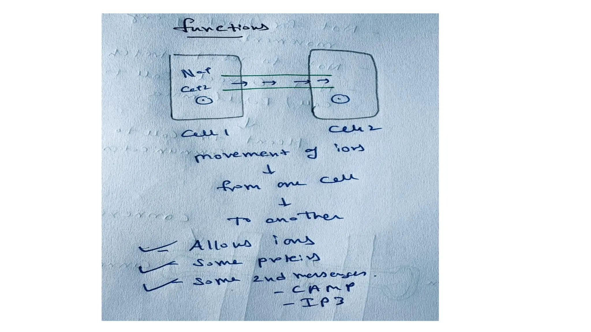 Apoptosos and inter cellular connections and communications.pptx