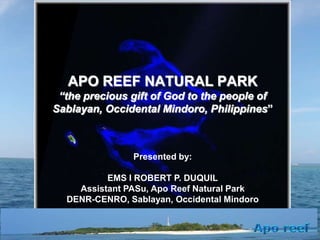 Presentation on Apo Reef updates 2013 | PPT