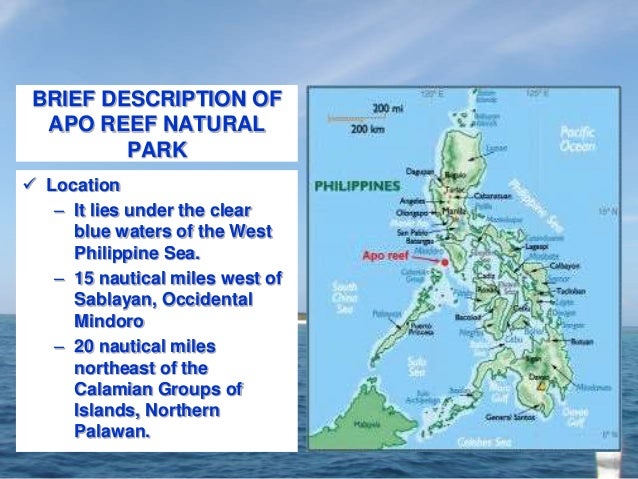 Presentation on Apo Reef updates 2013