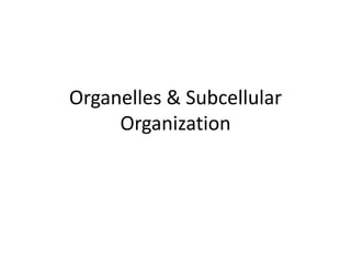 Ap organelles & subcellular organization | PPTX