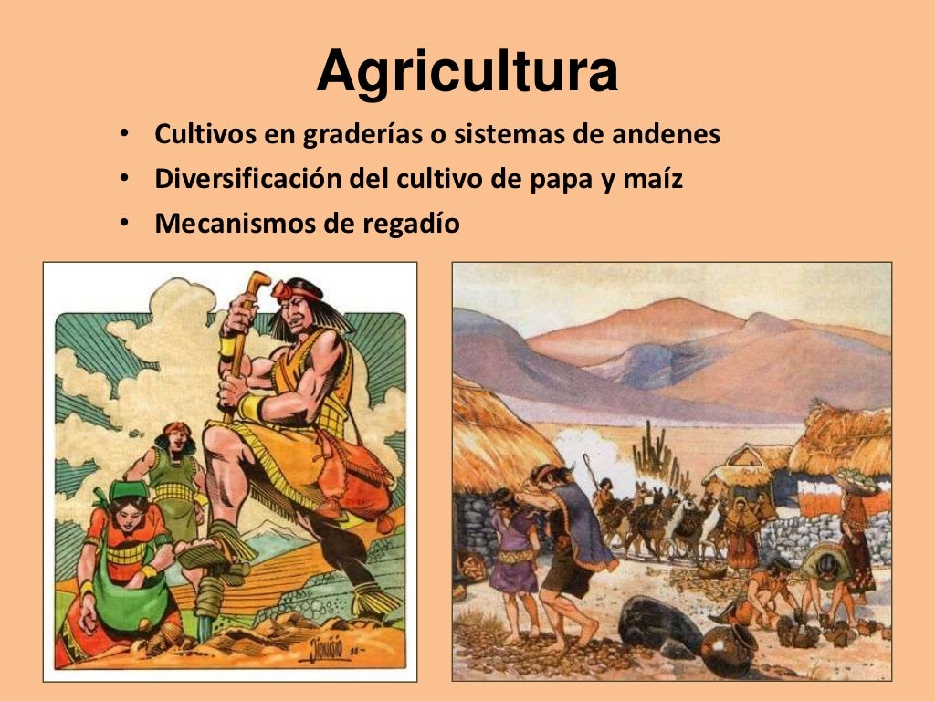 Aportes de la cultura inca