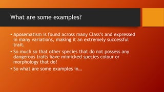 Aposematism.pptx