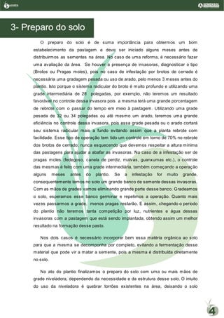Manual de Formação de Pastagem | PDF