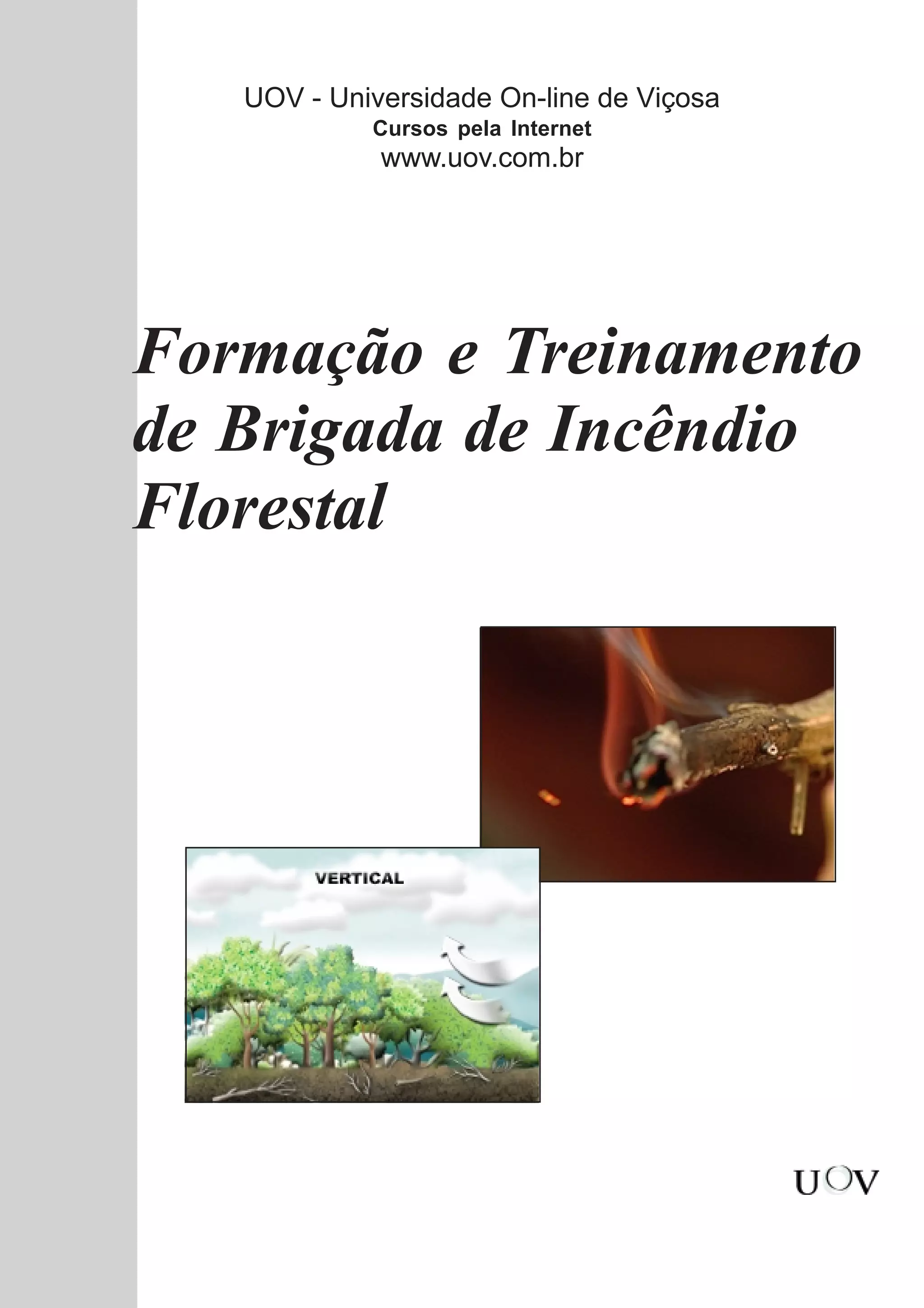 Apostila brigada de incendio florestal | PDF