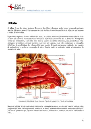 Apostila de enfermagem apostila anatomia e fisiologia humana | PDF