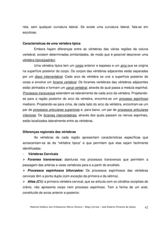 Apostila i introdução a anatomia e aparelho locomotor | PDF