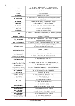 Apostila_Origem_e_Insercao_1.pdf - fisio | PDF