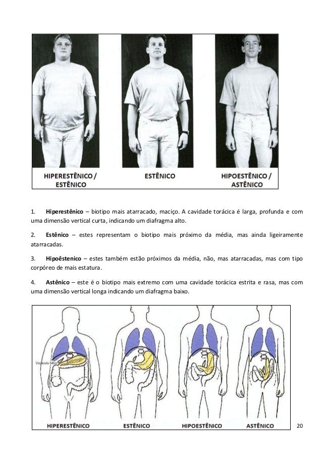 Apostila posicionamento (completa)