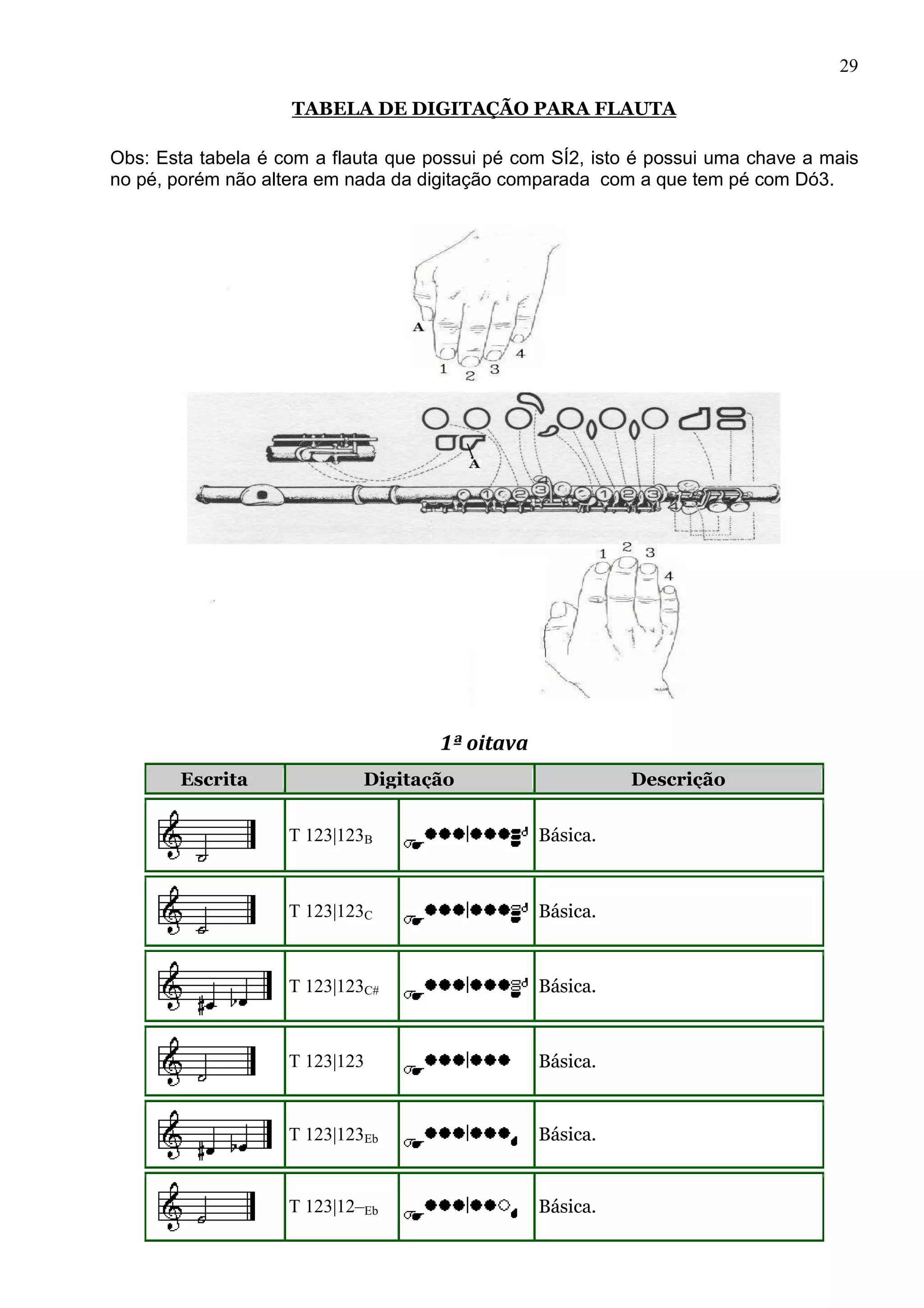 Apostilha de flauta transversal ccb | PDF