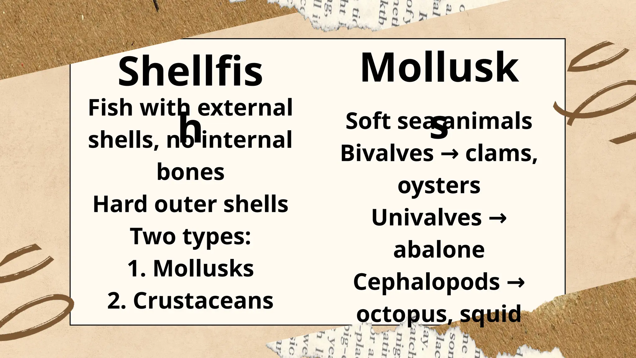 WHAT IS IT & CLASSIFICATION OF SEAFOOD.pptx