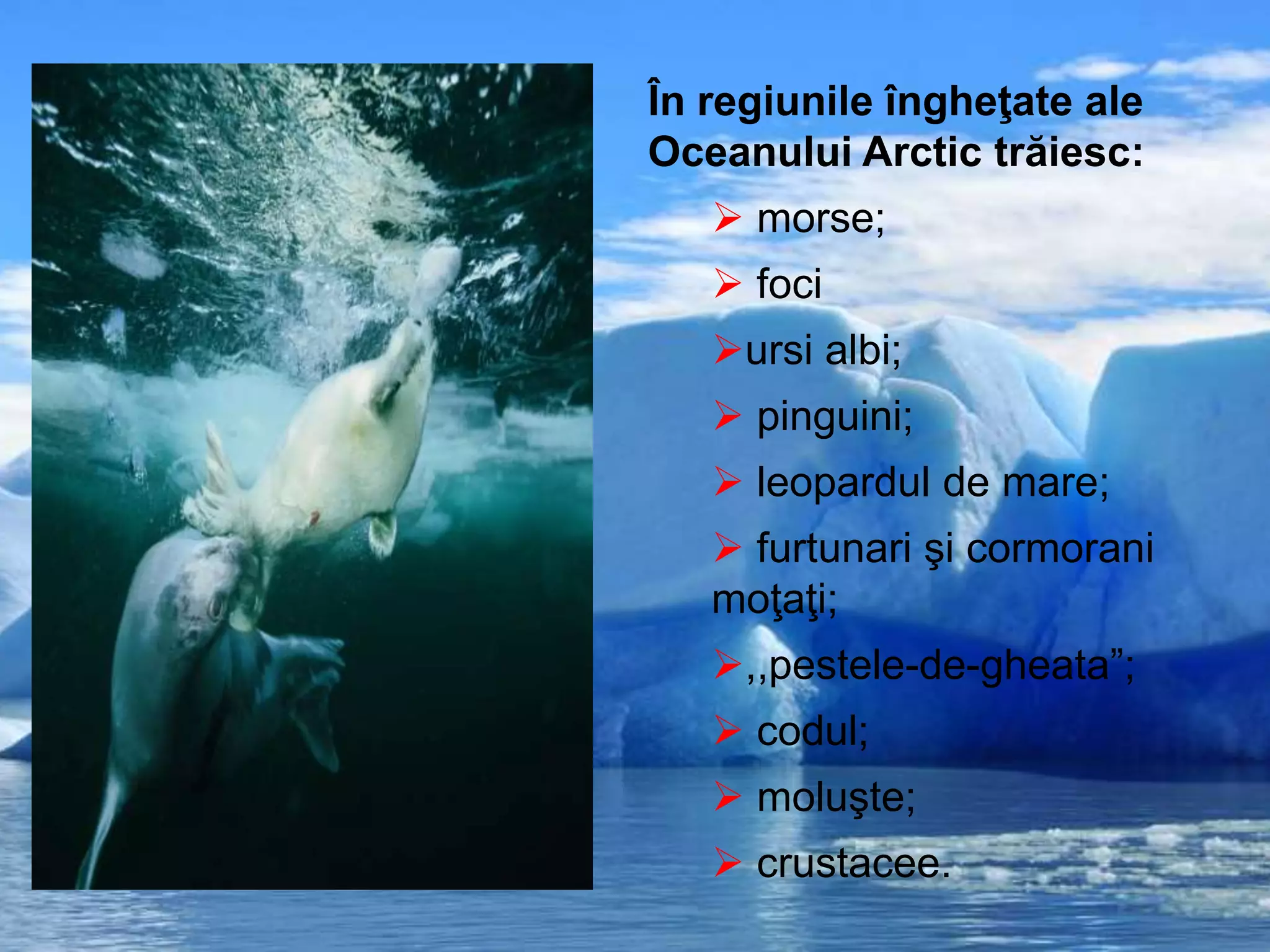 Apostol Alexandra Oceanul Arctic | PPTX