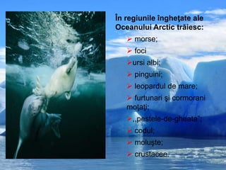 Apostol Alexandra Oceanul Arctic | PPTX