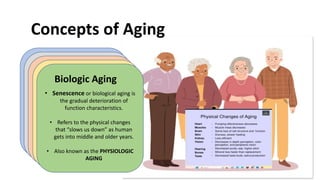 QUALITY NURSING CARE FOR THE ELDERLY.pptx | Senior Health | Healthy Living