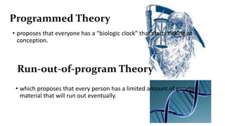 QUALITY NURSING CARE FOR THE ELDERLY.pptx | Senior Health | Healthy Living