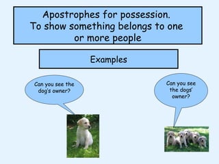Apostrophe- omission and possession | PPT