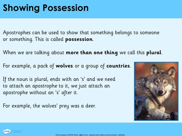 Apostrophes-of-Possession-with-Plural-Nouns.ppt