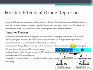 A power point presentation on ozone depletion | PPTX